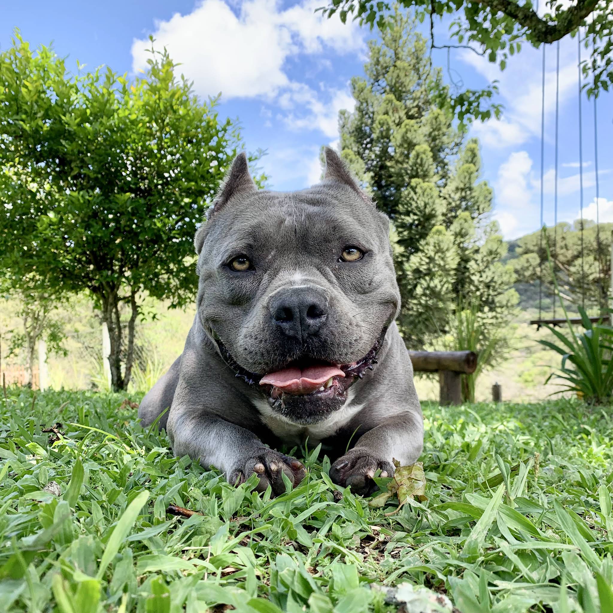 Post from Maori Blue