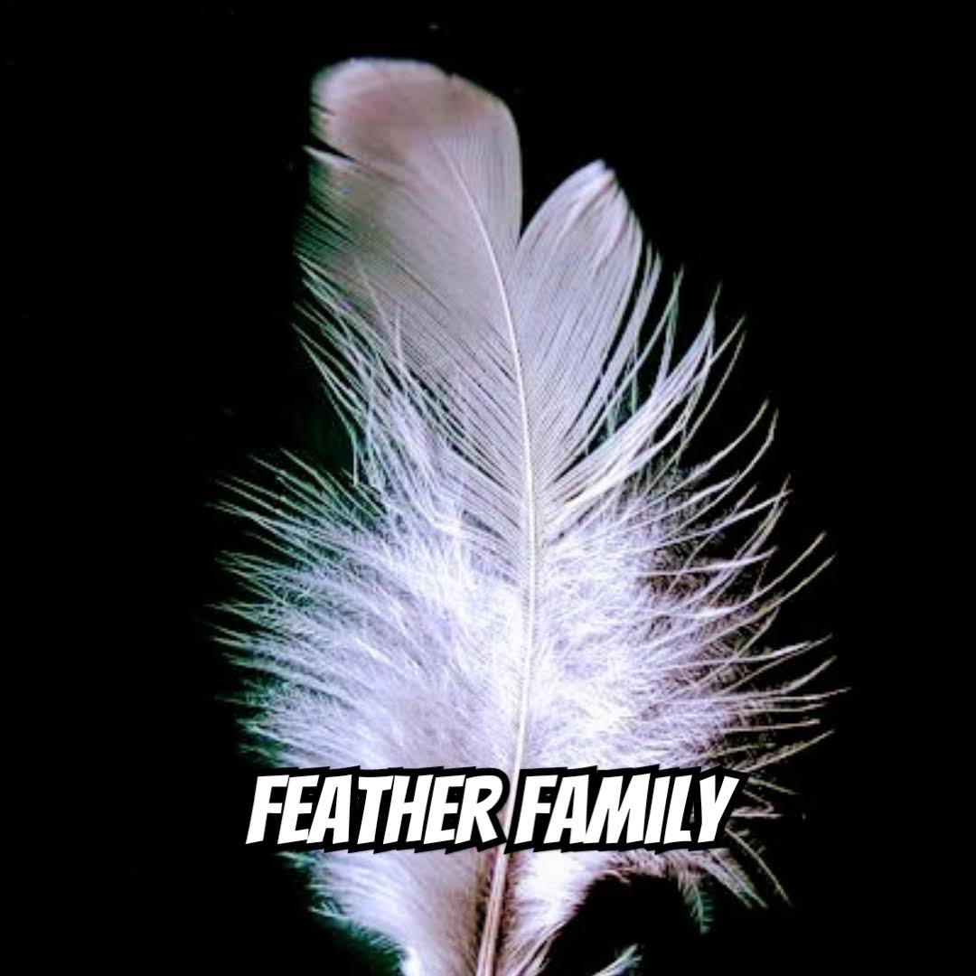 Post from Wise Solace