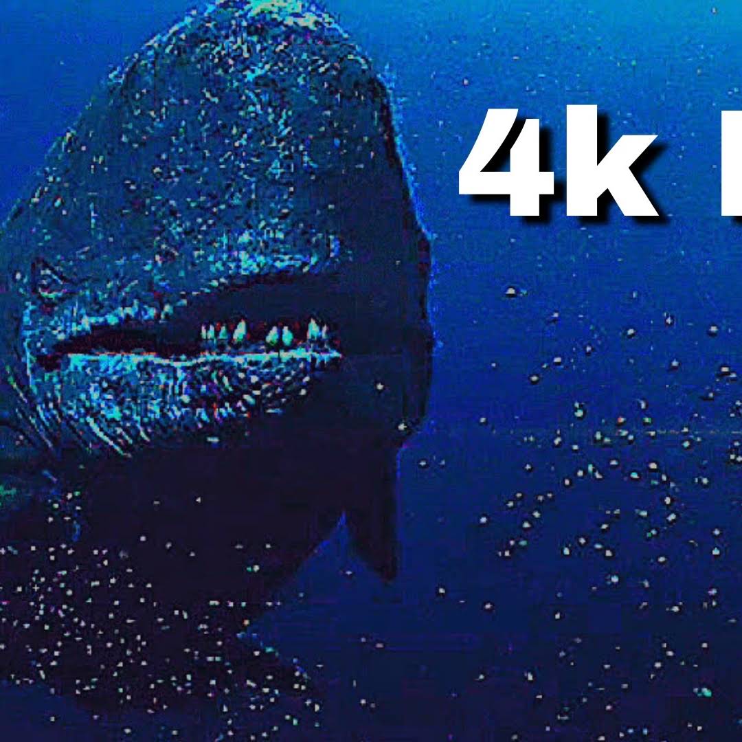 Post from Dizzy Rose