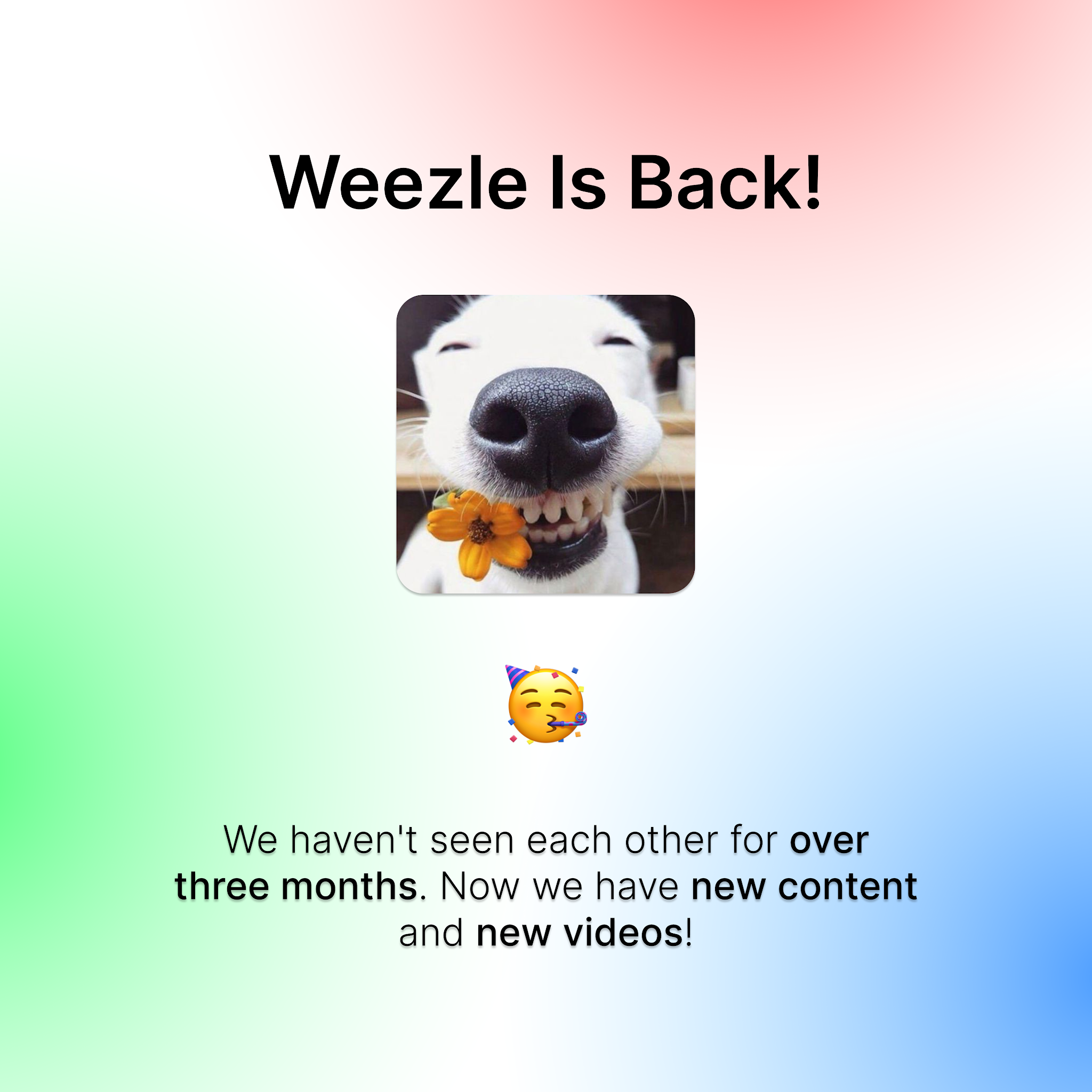 Post from Weezle