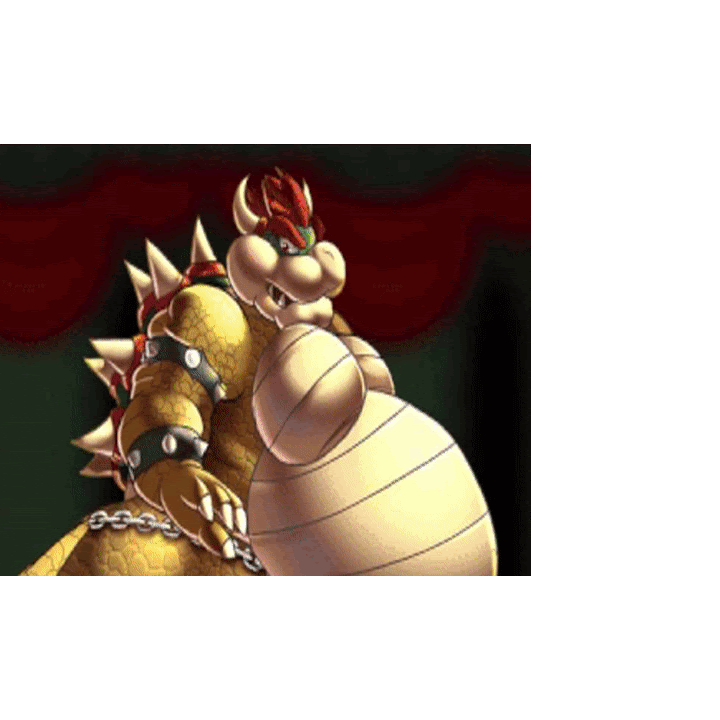 Post from The Bowser Files