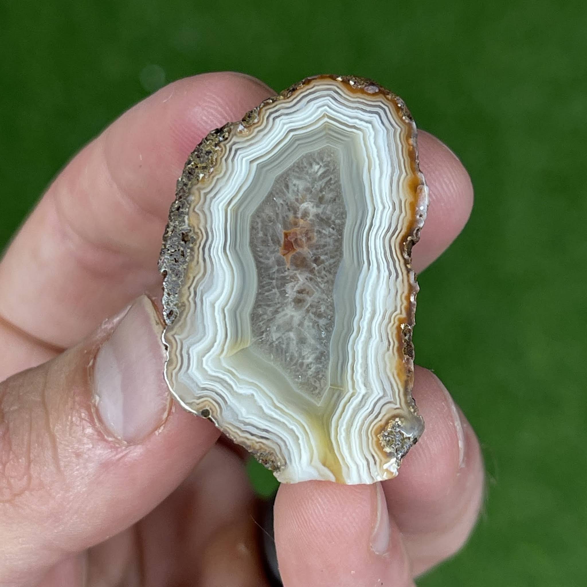 Post from Agate Dad Shorts