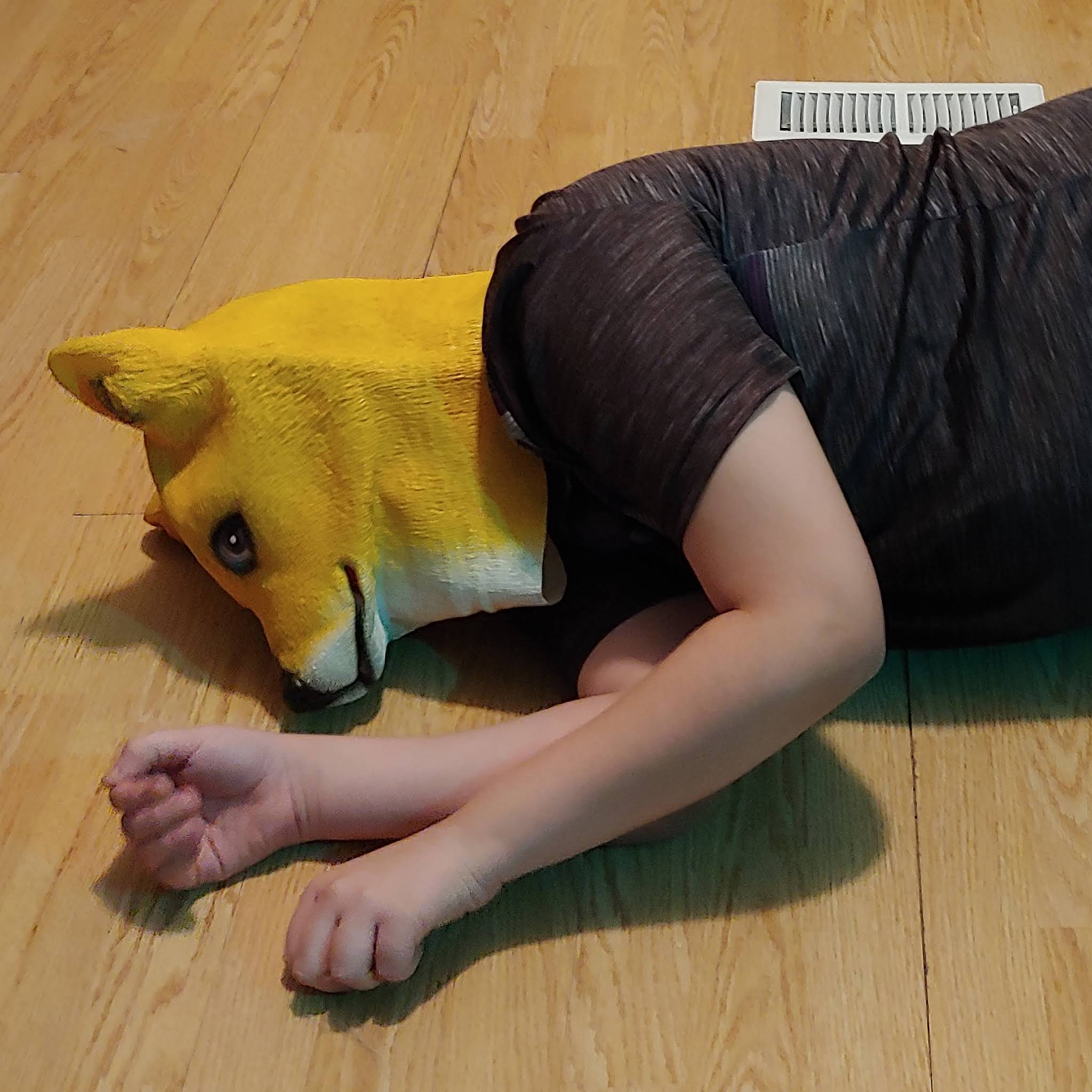 Post from THE REAL DOGE