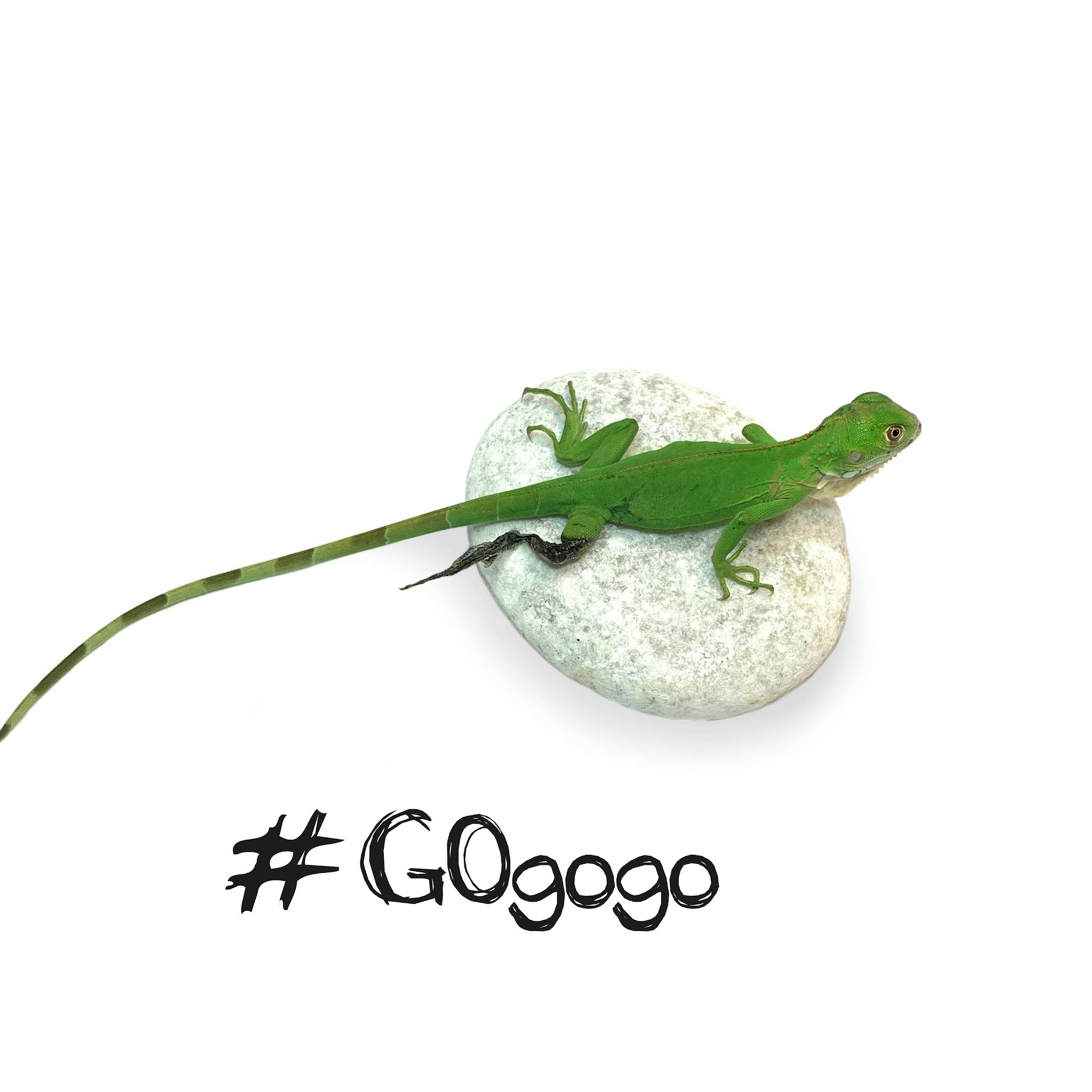 Post from Steff J MX