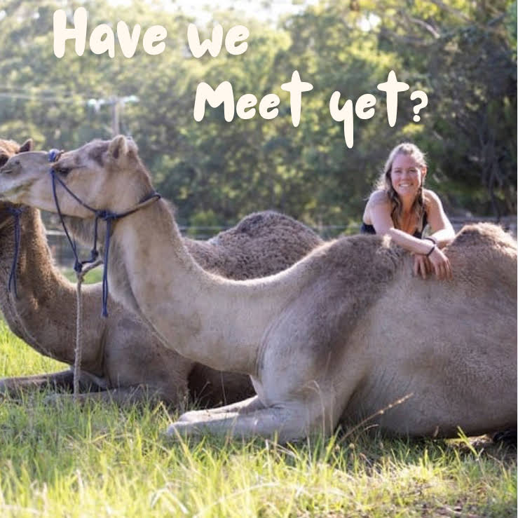 Post from Camel Channel | with Tara Lea