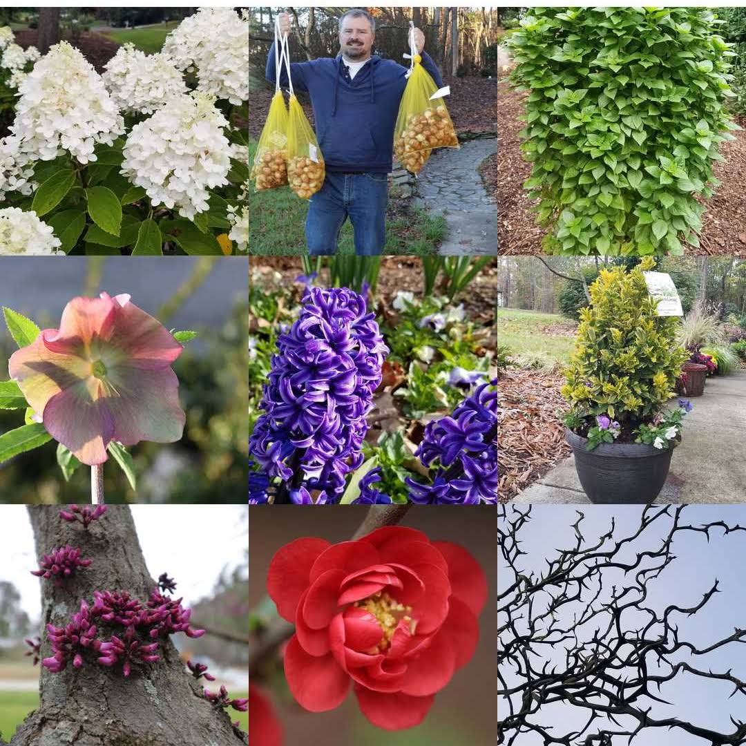 Post from HortTube with Jim Putnam