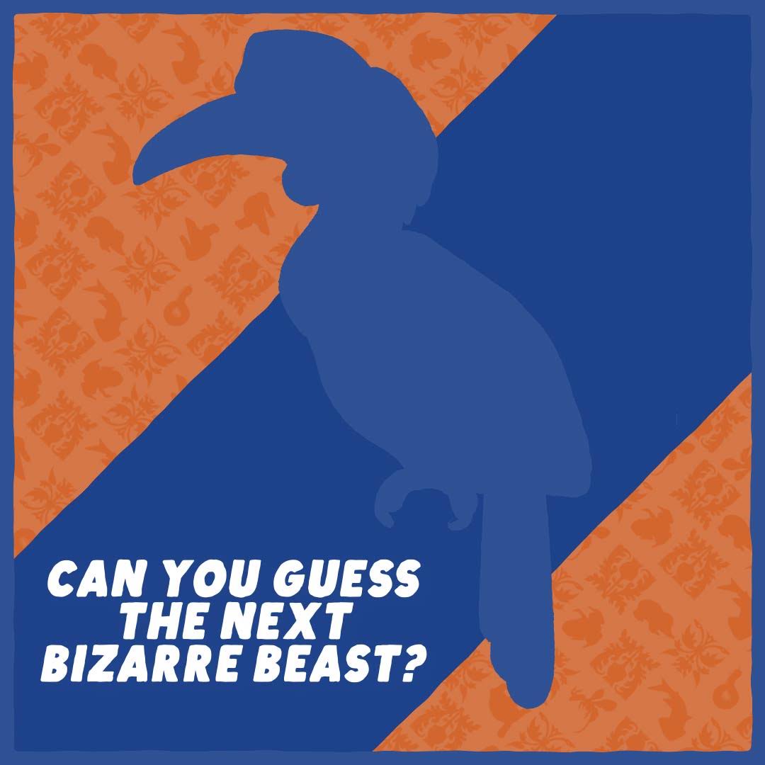Post from Bizarre Beasts
