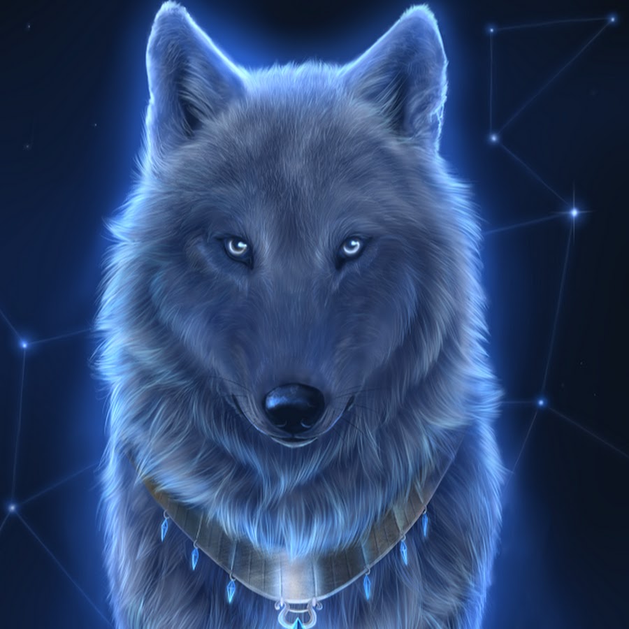 Midnight Wolf 0000 - YouTube