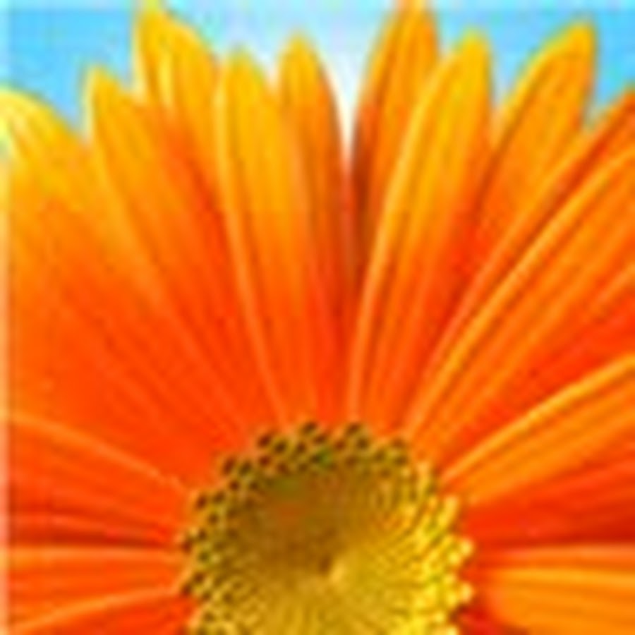 Nilan Hewa Kandamby - YouTube