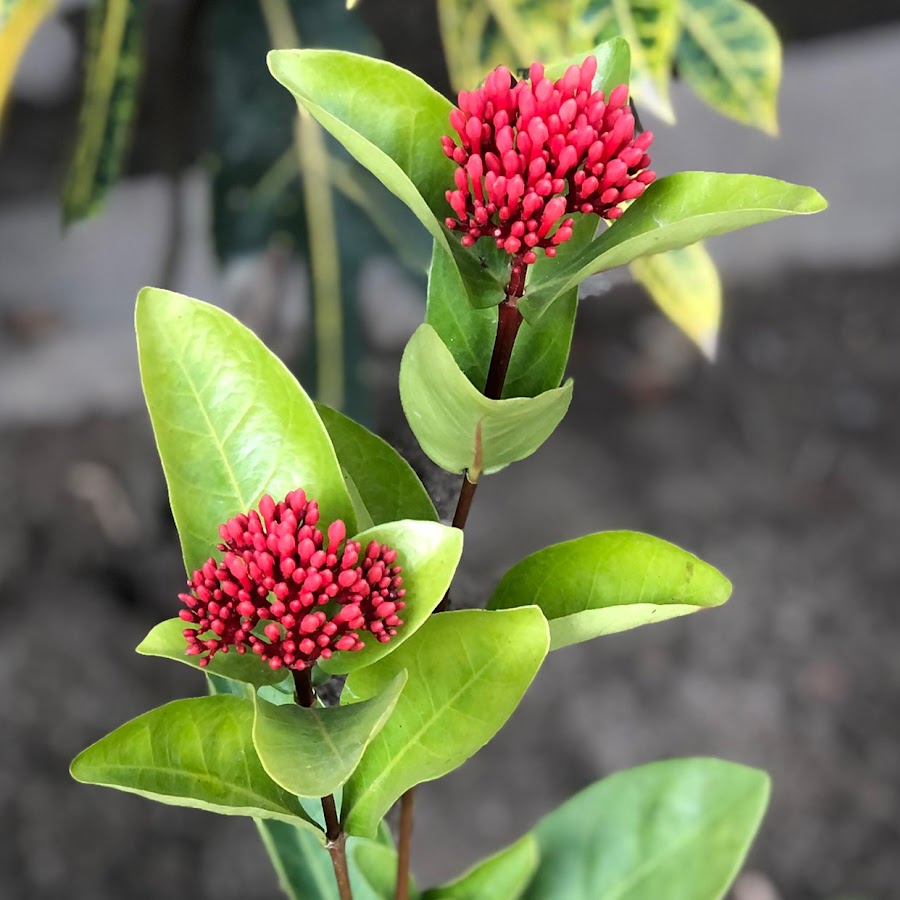 Engr: Md Jahirul Islam - YouTube