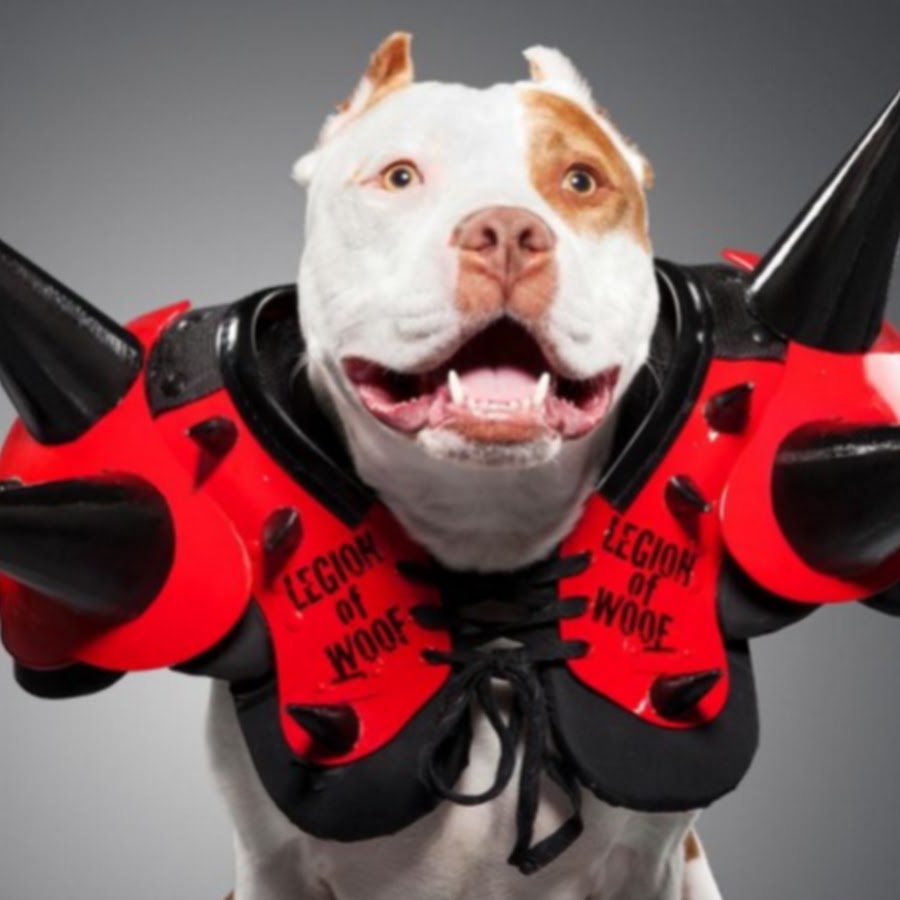 Doom Dog Gaming - YouTube