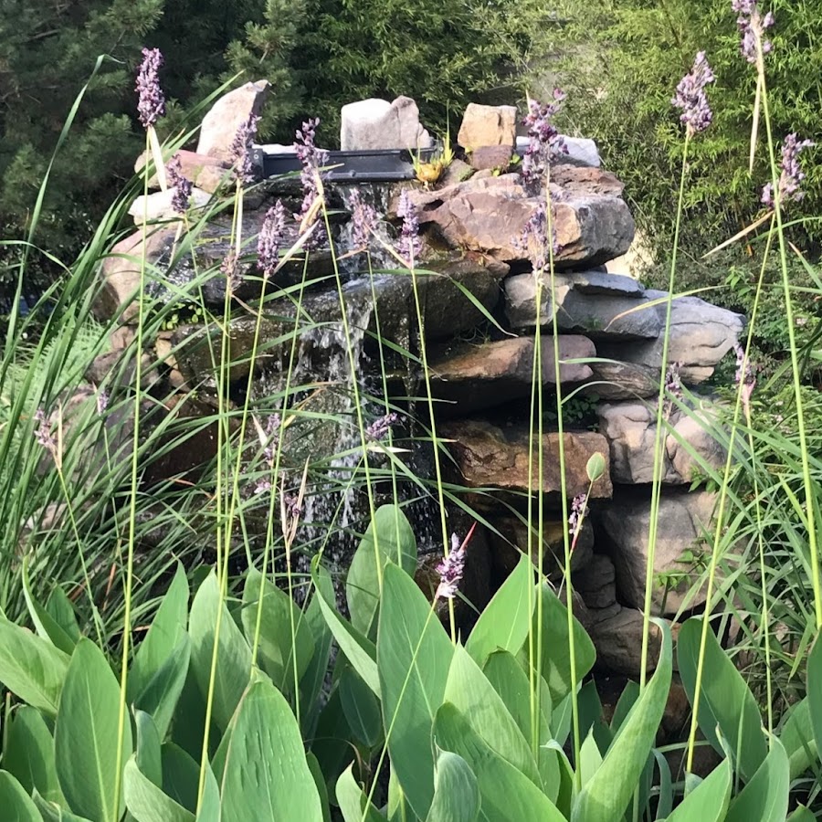 Aztec Aquaponics LLC - YouTube