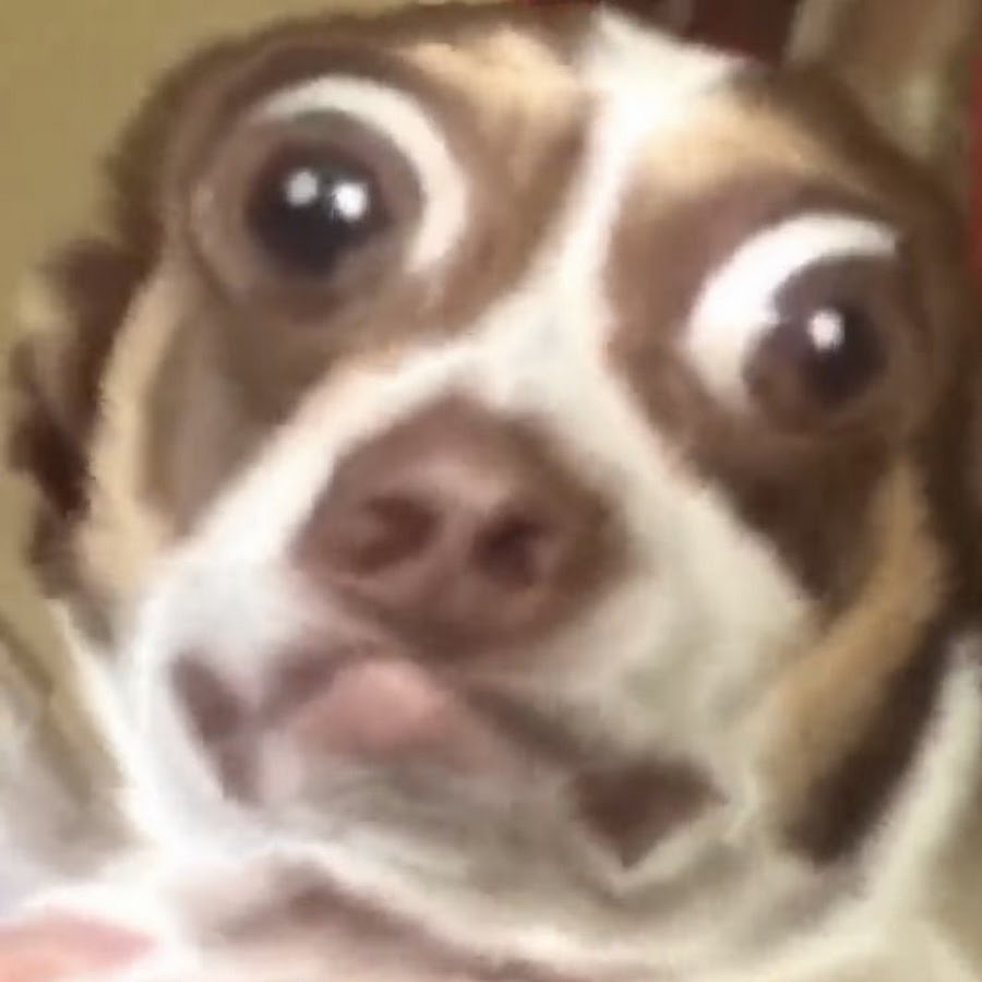 Mr. Bubz - YouTube