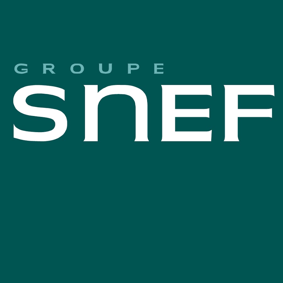 Groupe SNEF - YouTube