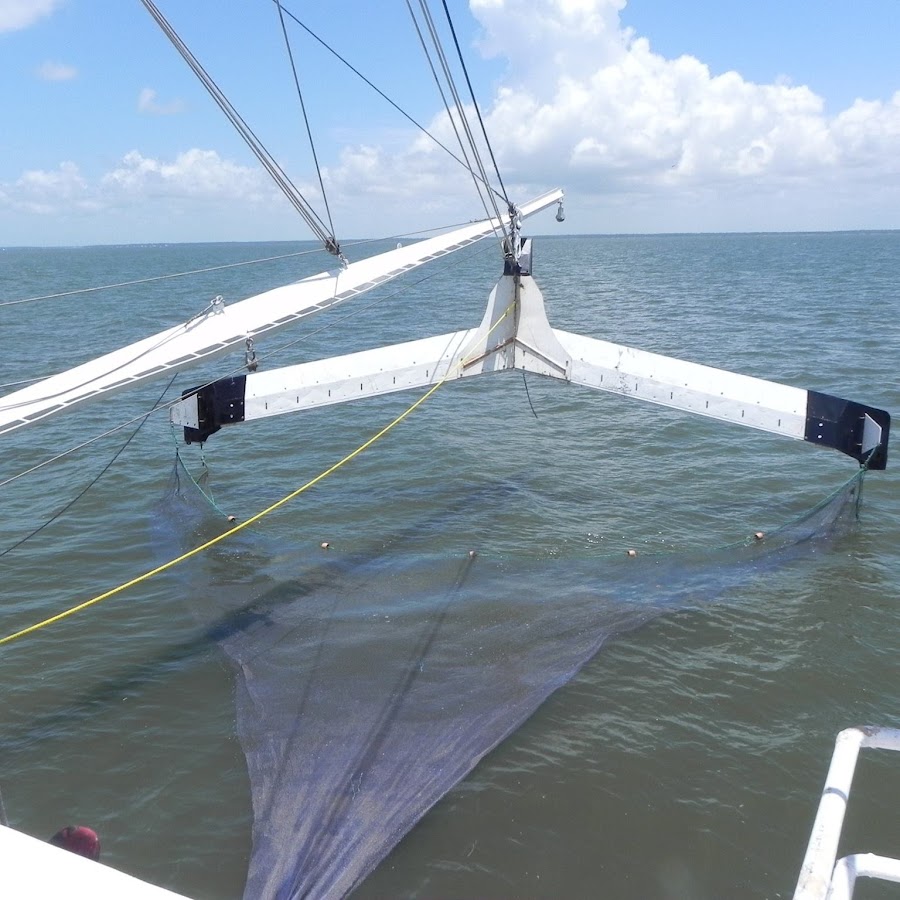 Wing Trawling System Shrimp Trawling - YouTube