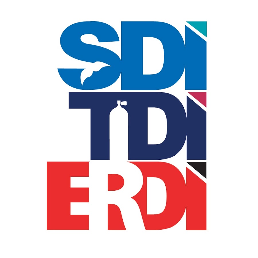 SDI/TDI/ERDI - YouTube
