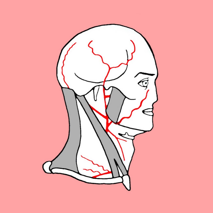 STUDENT LA MEDICINĂ - YouTube