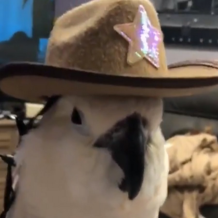 some random person - YouTube