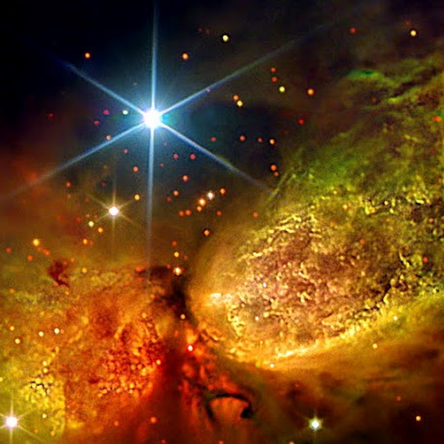 Poisson Lumière - YouTube