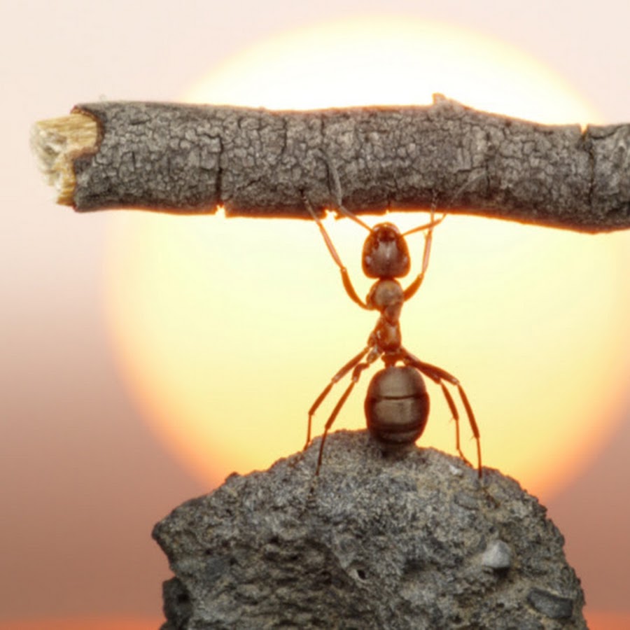 Milingona Project - YouTube