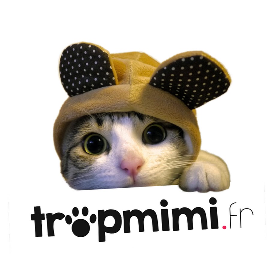 Trop Mimi - YouTube