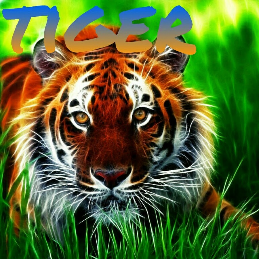 Gaming tiger HD - YouTube