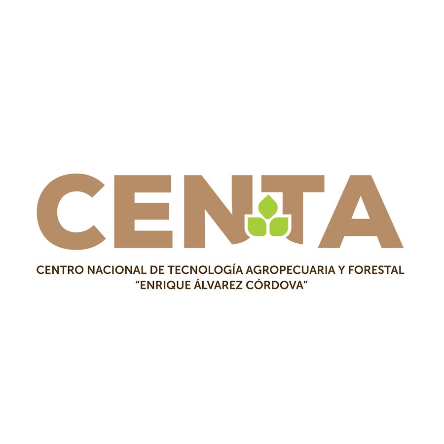 CENTA EL SALVADOR - YouTube