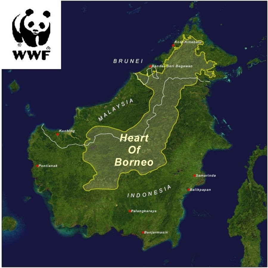 In The Heart Of Borneo , Heart of Borneo milestones – GOFWLU