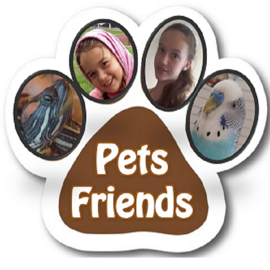 Pets Friends - YouTube