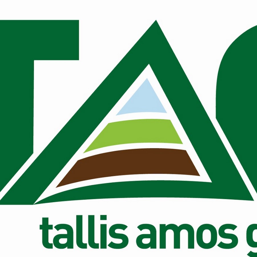 Tallis Amos Group - YouTube
