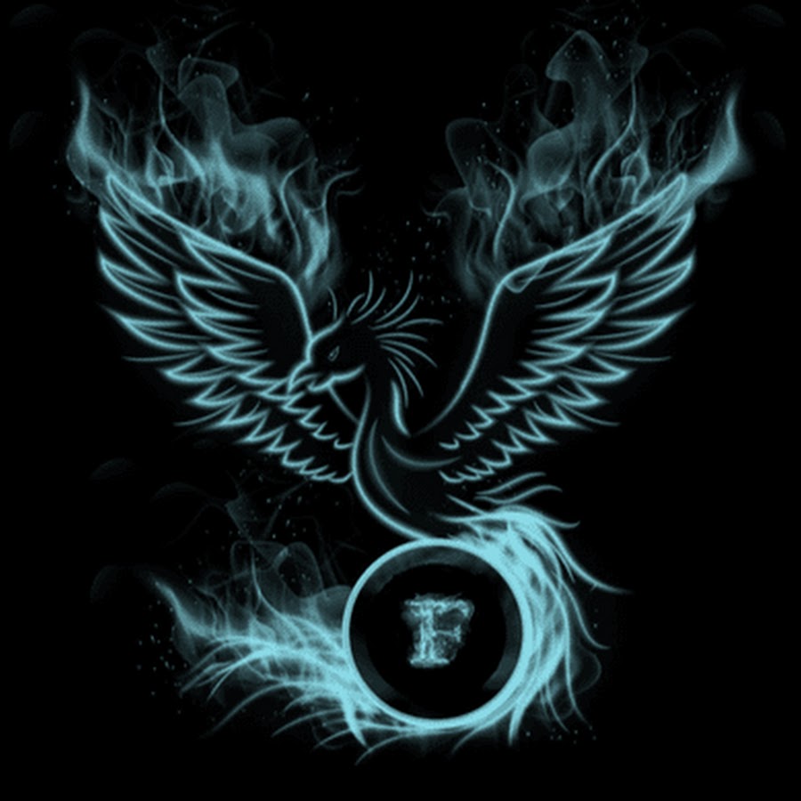 Fénix Blogs - YouTube