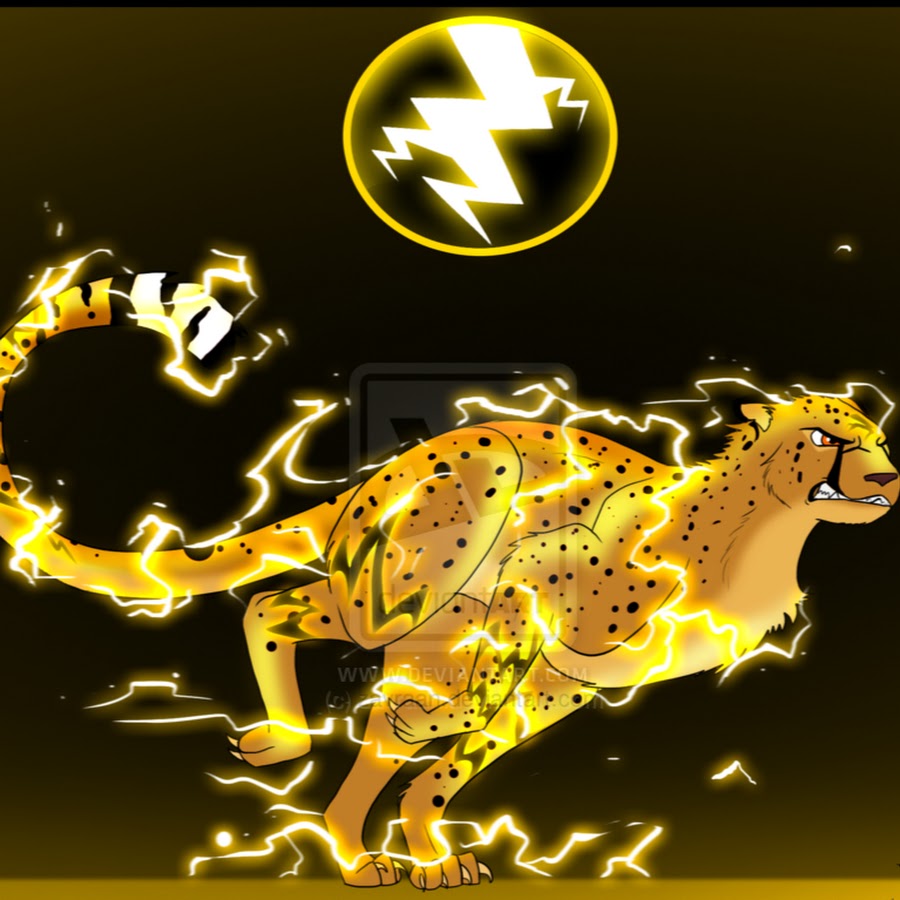 Lightning Cheetah - YouTube