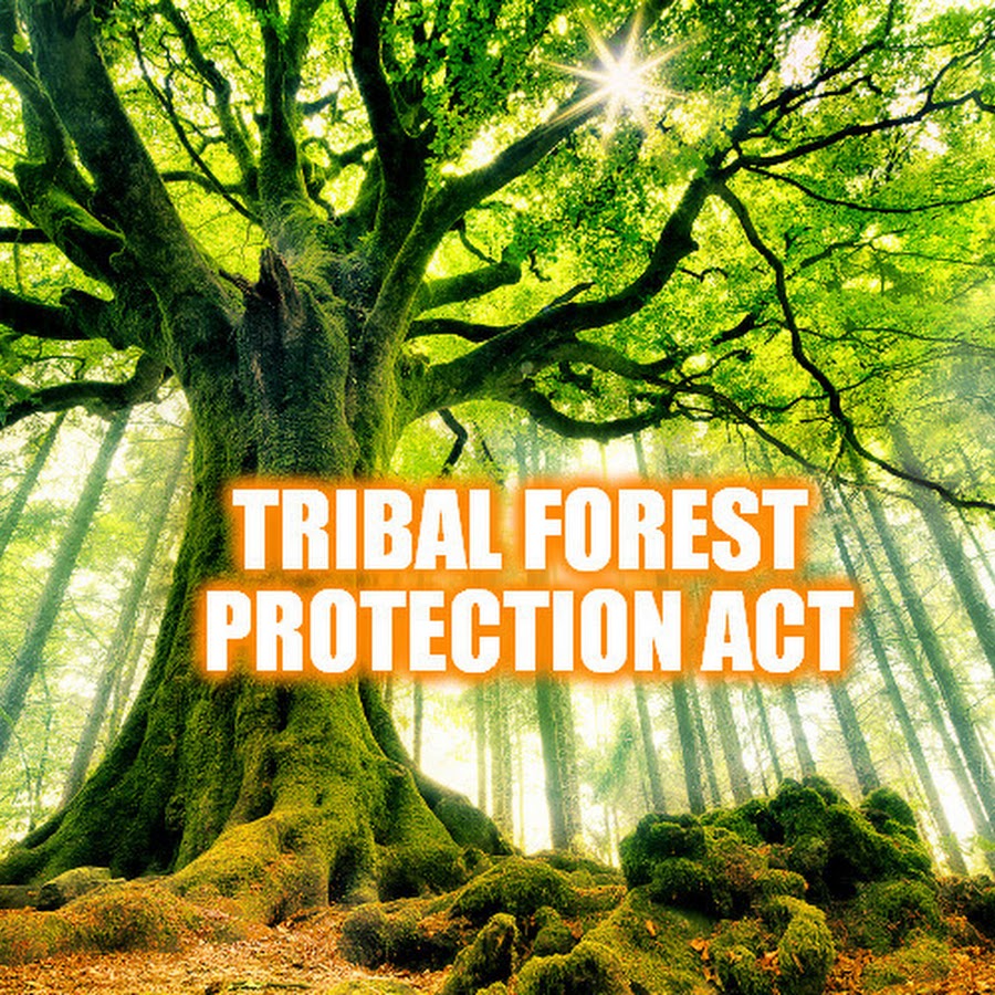 Tribal Forest Protection Act (TFPA) - YouTube