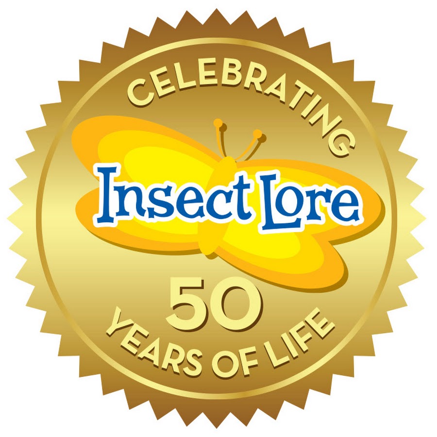 Insect Lore - YouTube