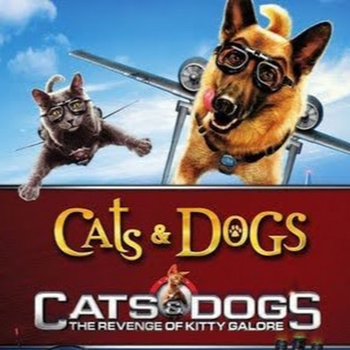 Mr. Fast 2019 Net Worth & Earnings (2022)