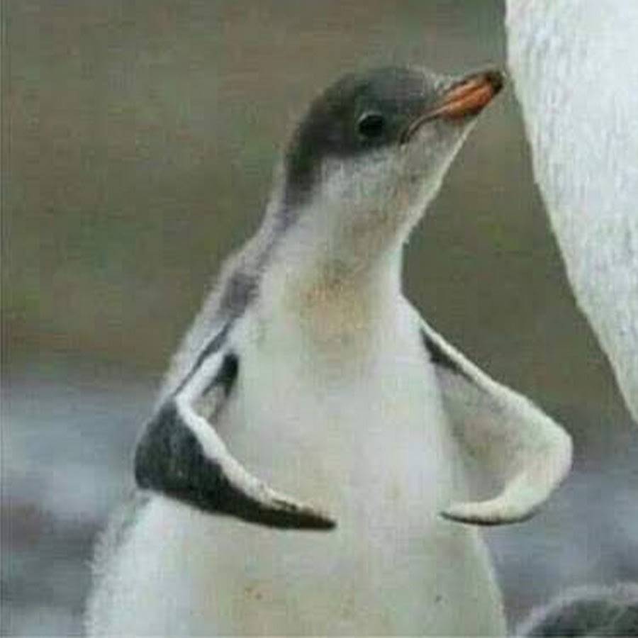 The Happy Chode - YouTube