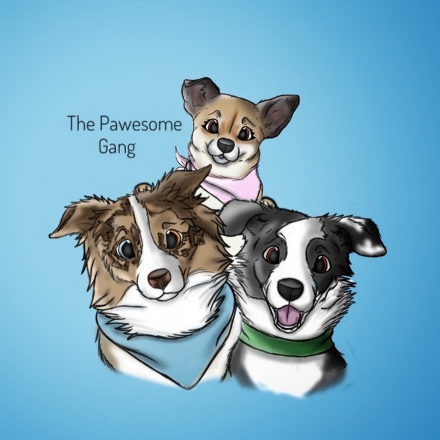 The Pawesome Gang - YouTube