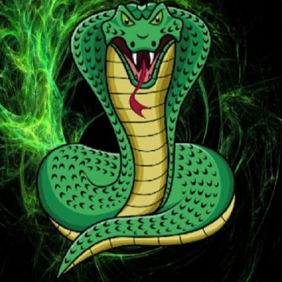 SHADOW SNAKE PLAYS - YouTube