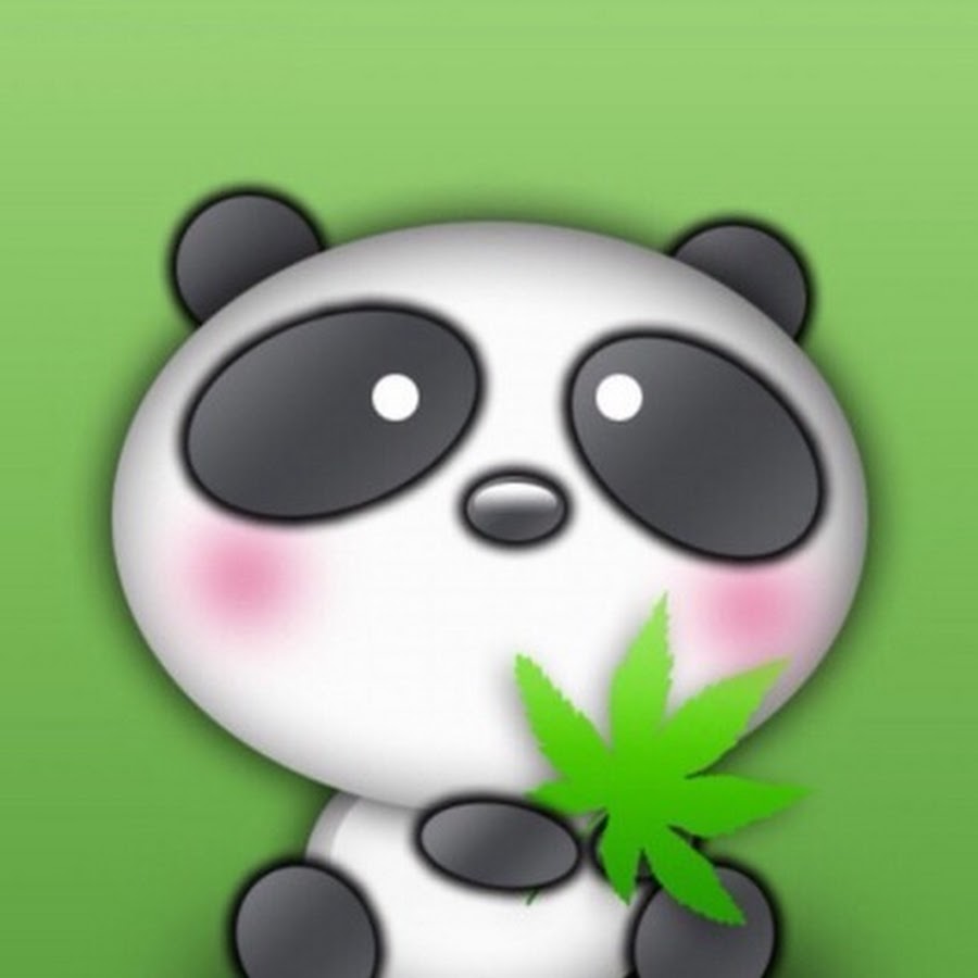 Paige The Panda|Vlog Channel - YouTube