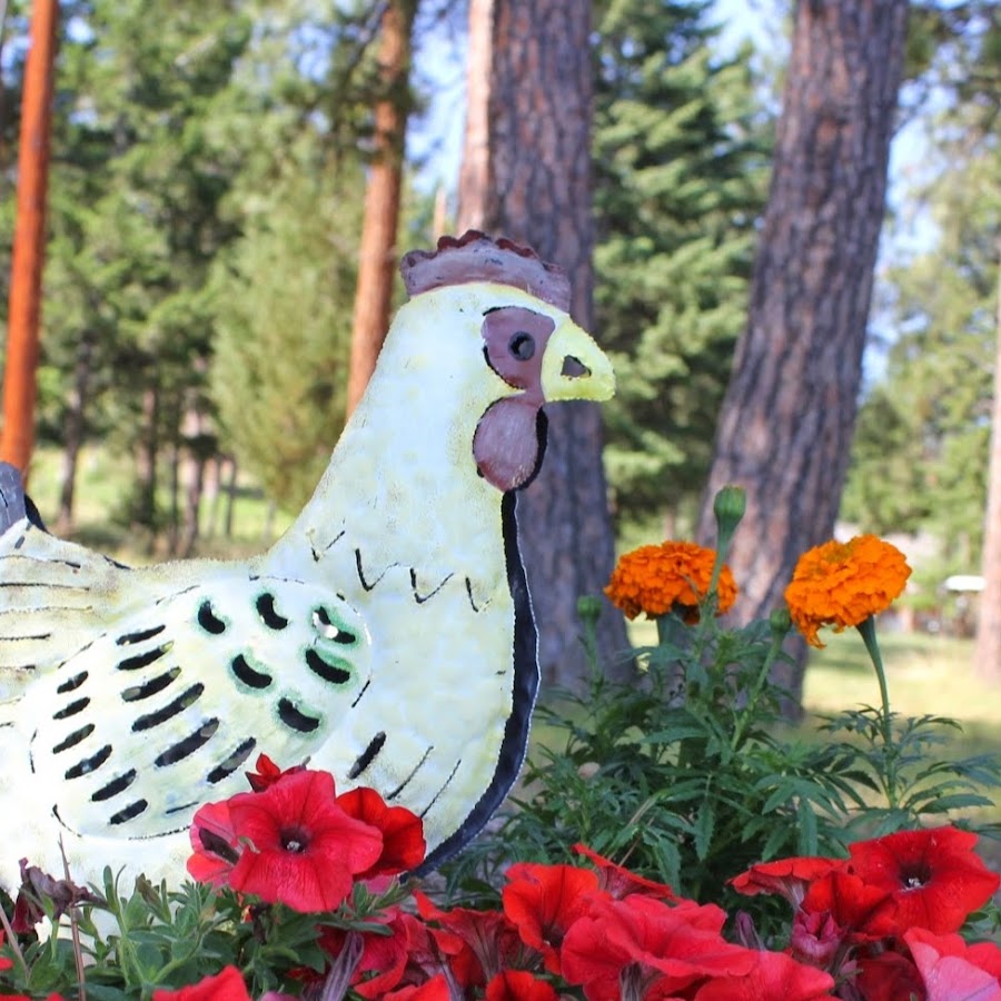 Vaginasaurus Rex - YouTube