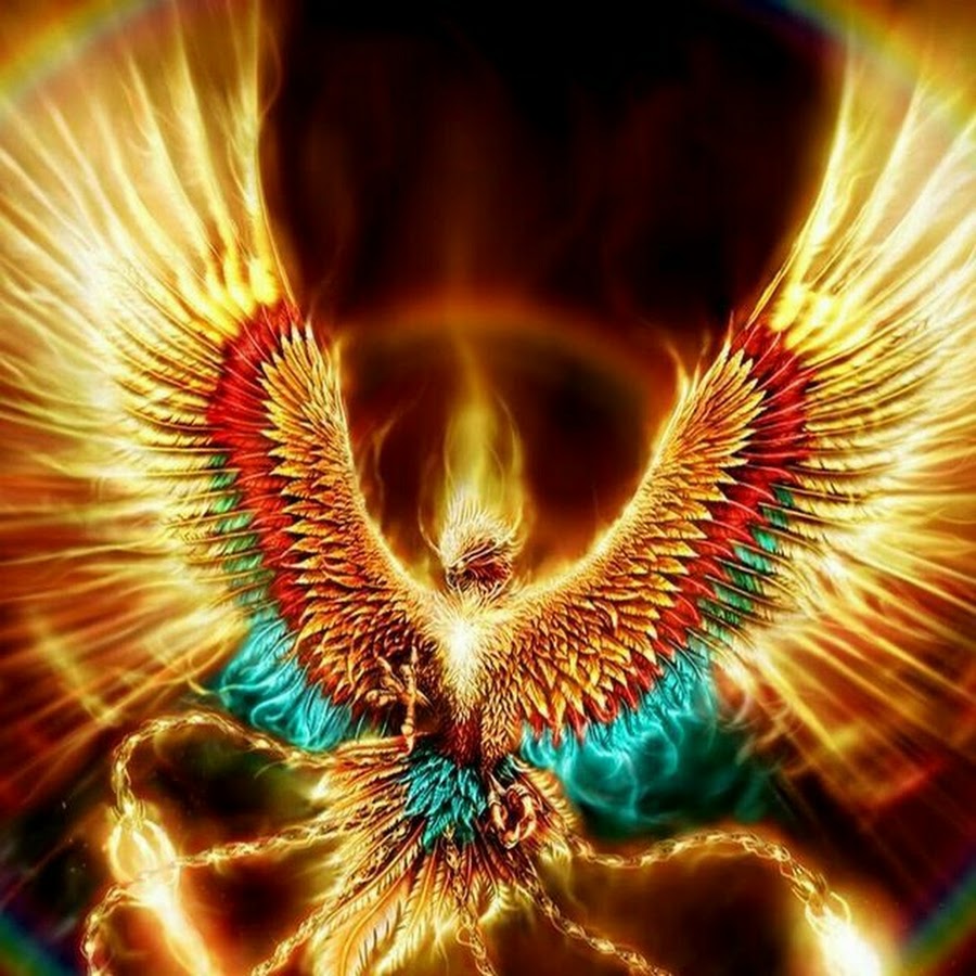 Golden Phoenix - YouTube