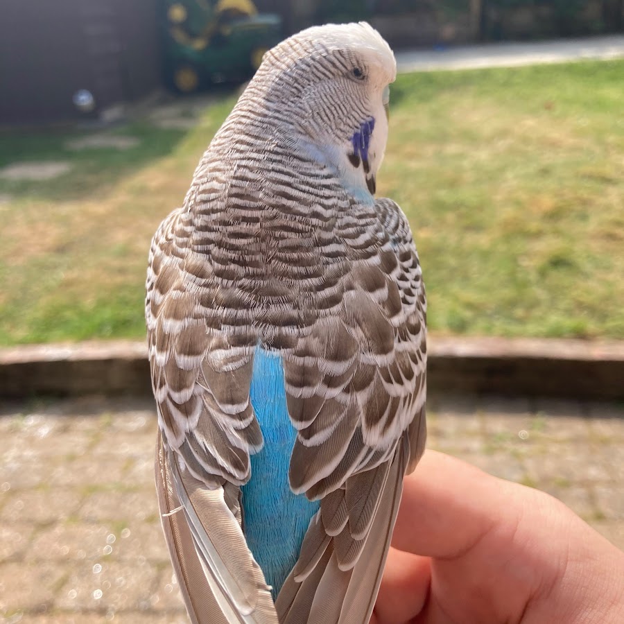 Xl No Cry zone llX - YouTube