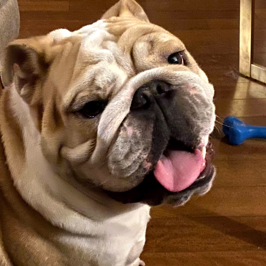 Linzi Sheldon - YouTube