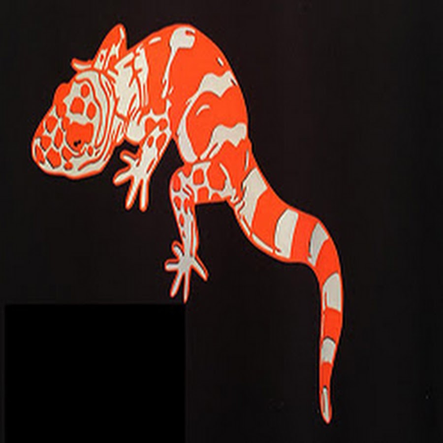 Herpy's Herps - YouTube