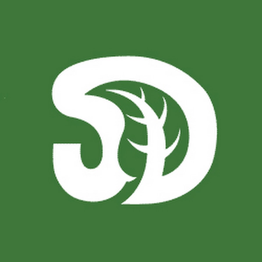 SerpaDesign - YouTube