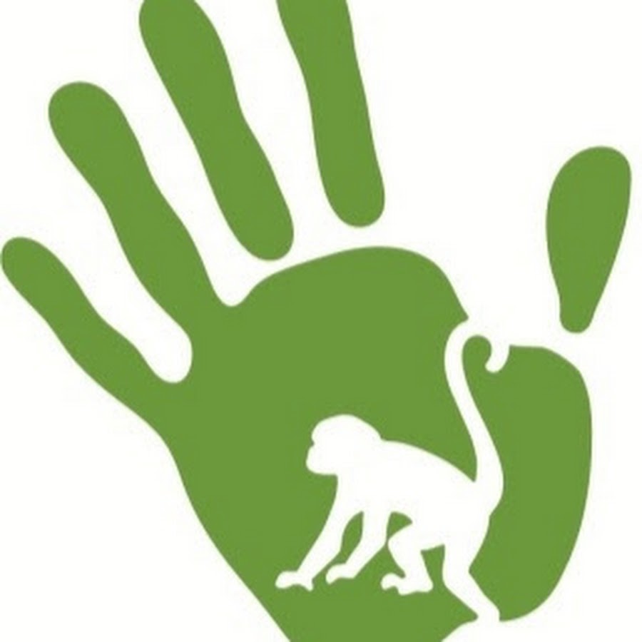 Marwell Wildlife - YouTube