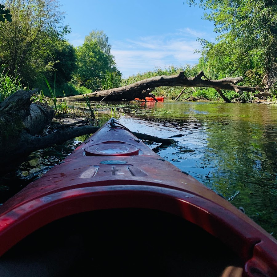 Janusz Cebula - YouTube