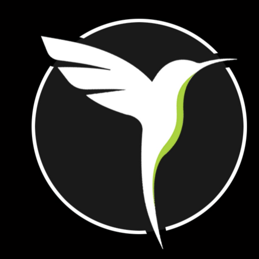 micro birds - YouTube