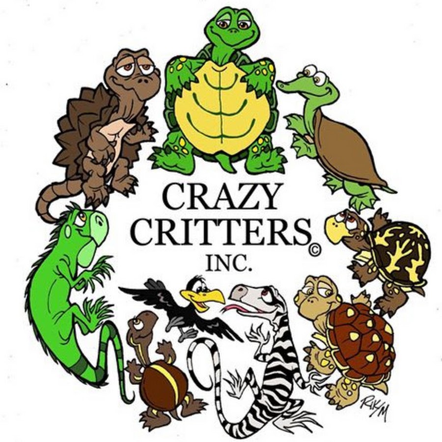 Crazy Critters Inc. - YouTube