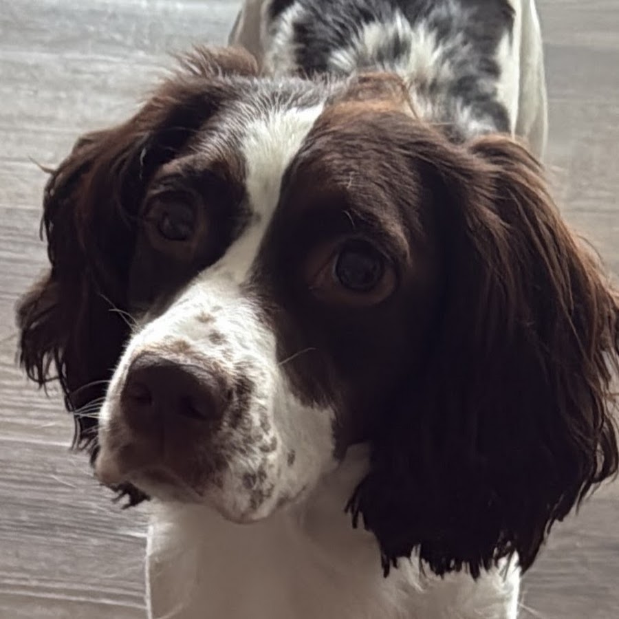 Amber Brooke Wallace - YouTube